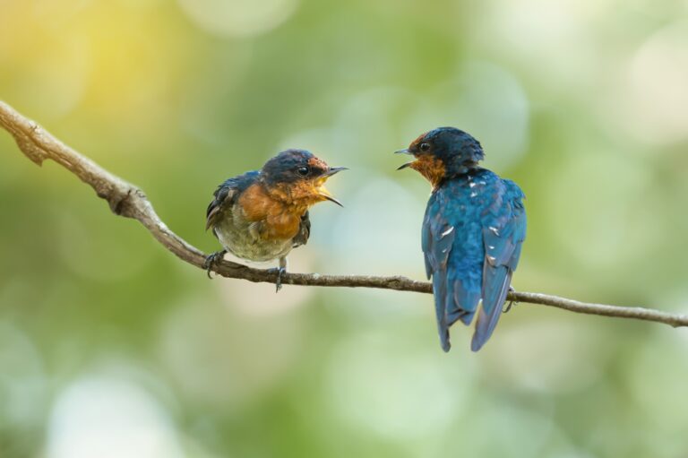 Conflict Resolution Skills – HelpGuide.org